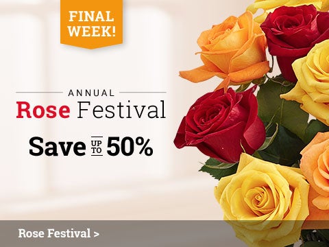 Flowers | Flower Delivery | Fresh Flowers Online | 1-800-Flowers.com