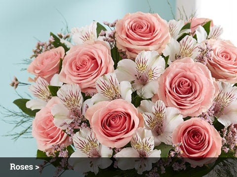 Flowers | Flower Delivery | Fresh Flowers Online | 1-800-Flowers.com