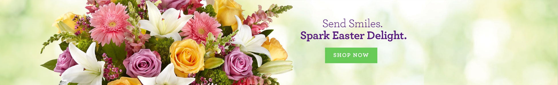 Flowers | Flower Delivery | Fresh Flowers Online | 1-800-Flowers.com