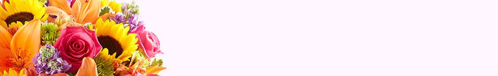 1800flowers Promo Code, Coupons & Discounts Codes | 1-800-FLOWERS.COM