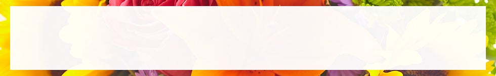 1800flowers Promo Code, Coupons & Discounts Codes | 1-800-FLOWERS.COM