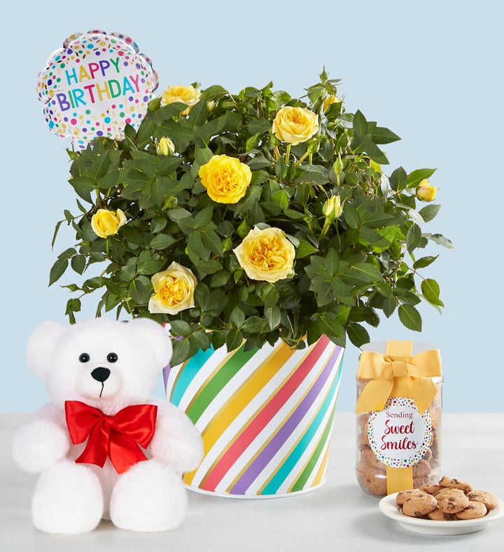 Happy Birthday Bundle | Birthday Flowers | 1800Flowers.com - 101188