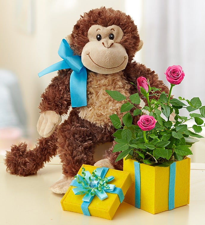 Happy Birthday Bundle | 1800Flowers.com - 101188