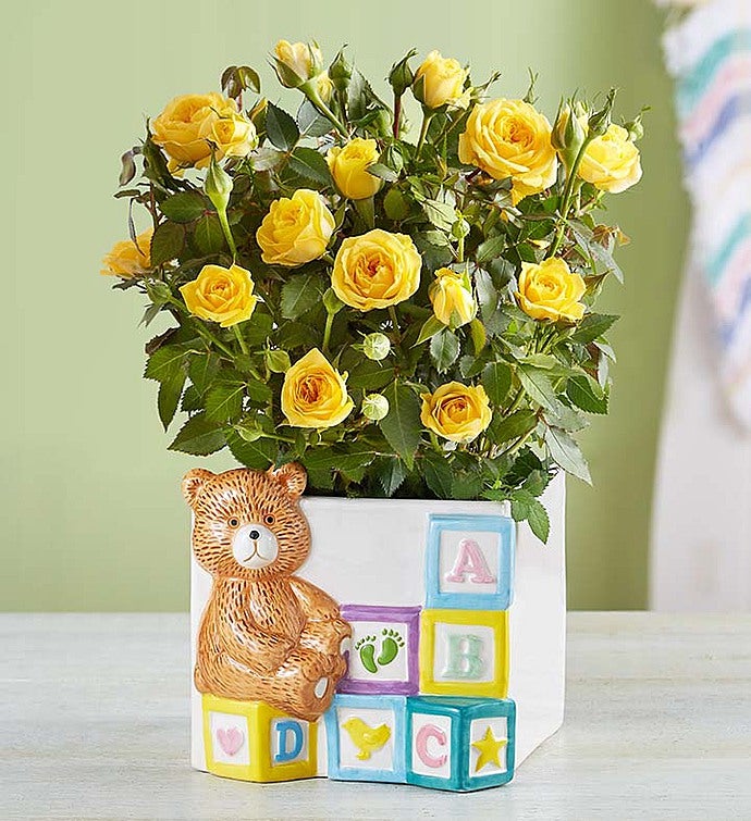 Baby Blocks Playtime Roses | 1800Flowers.com - 101880