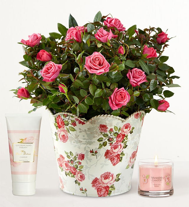 Types of Flowers, 60 Different Kinds of Common Flowers | Petal Talk