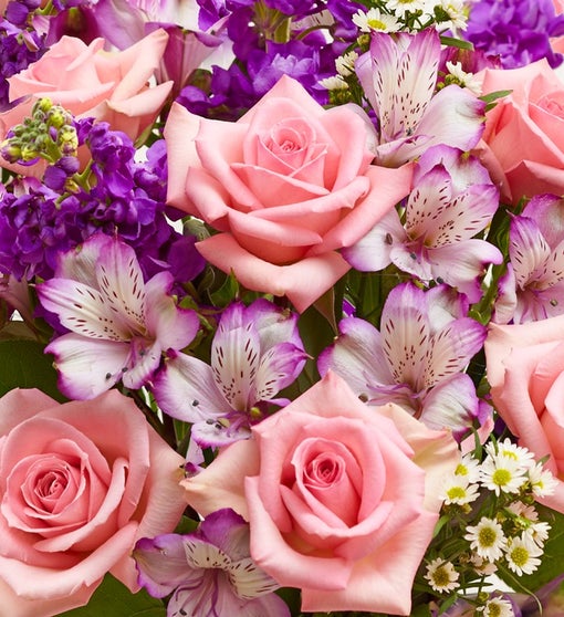 Arrangement of the Month | Flowers by Month | 1800FLOWERS.COM-103519