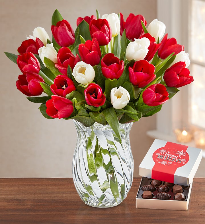 Holiday Tulips | 1800Flowers.com - 103629