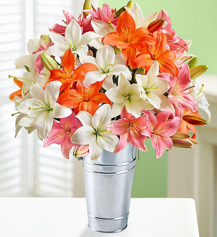 Flowers Free Delivery | Free Shipping Flower Delivery | 1800FLOWERS