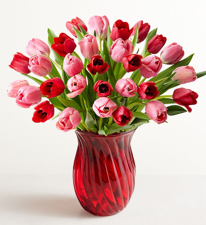 Learn All About Each Tulip Color Meaning | Petal Talk