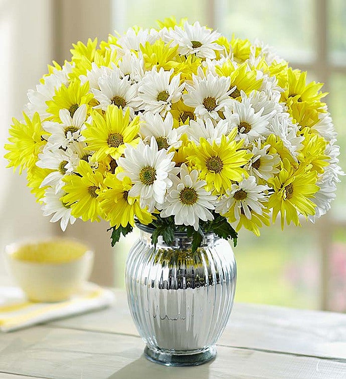Yellow & White Daisies + Free Vase | 1800Flowers.com - 144758