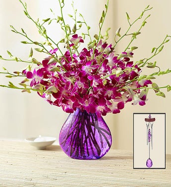 Orchid Flowers Delivery: Orchids Bouquets & Arrangements | 1800Flowers