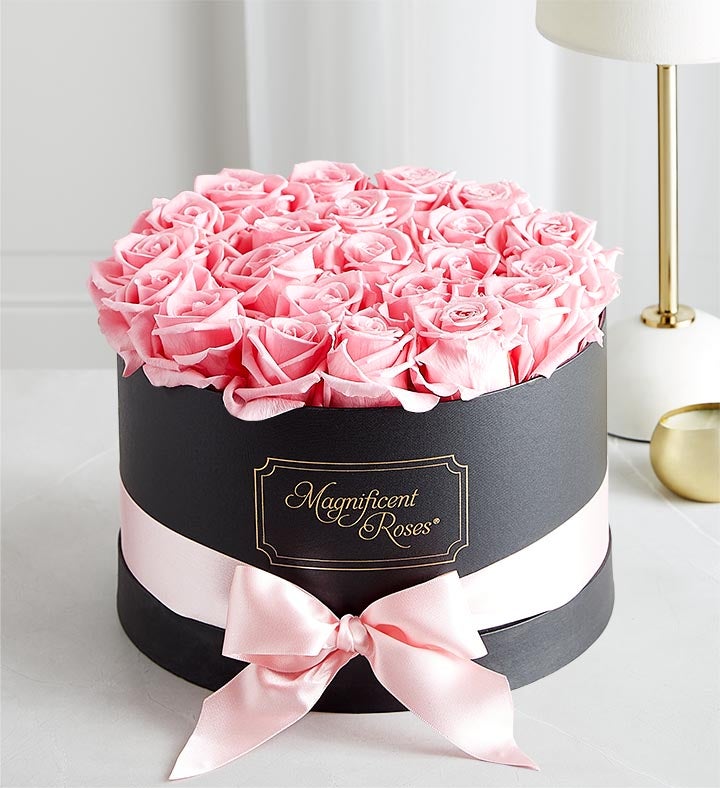 Magnificent Roses® Preserved Pink Roses | 1800flowers.com