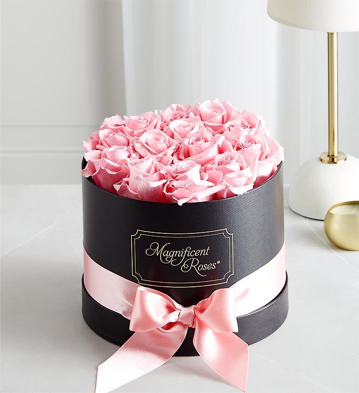 Magnificent Roses® Preserved Pink Roses | 1800flowers.com