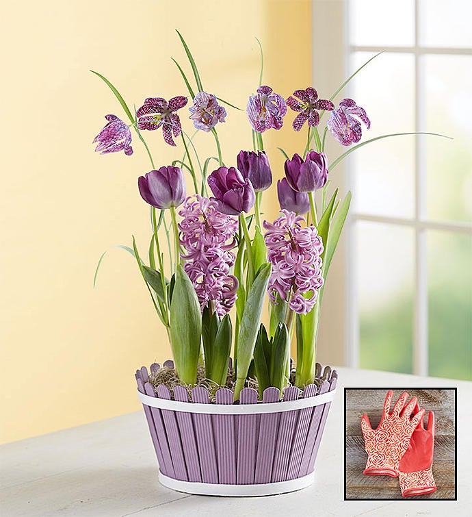 Garden of Grandeur™ | 1800Flowers.com - 91351