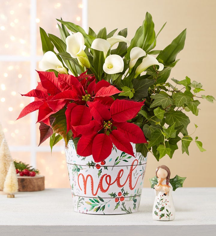 Holiday Delights Garden Trio