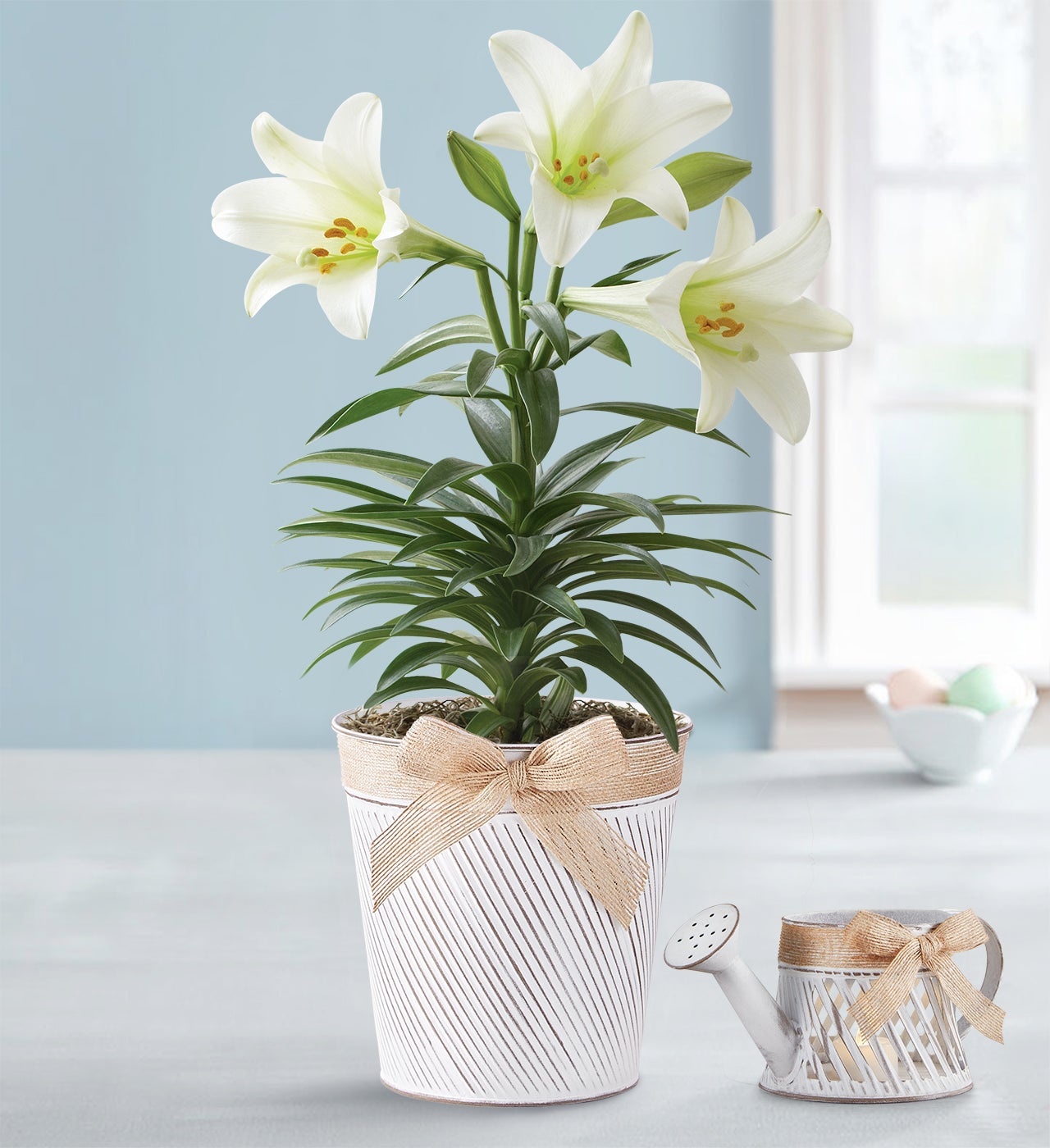 Easter Plants | Easter Lily Delivery | 1800Flowers