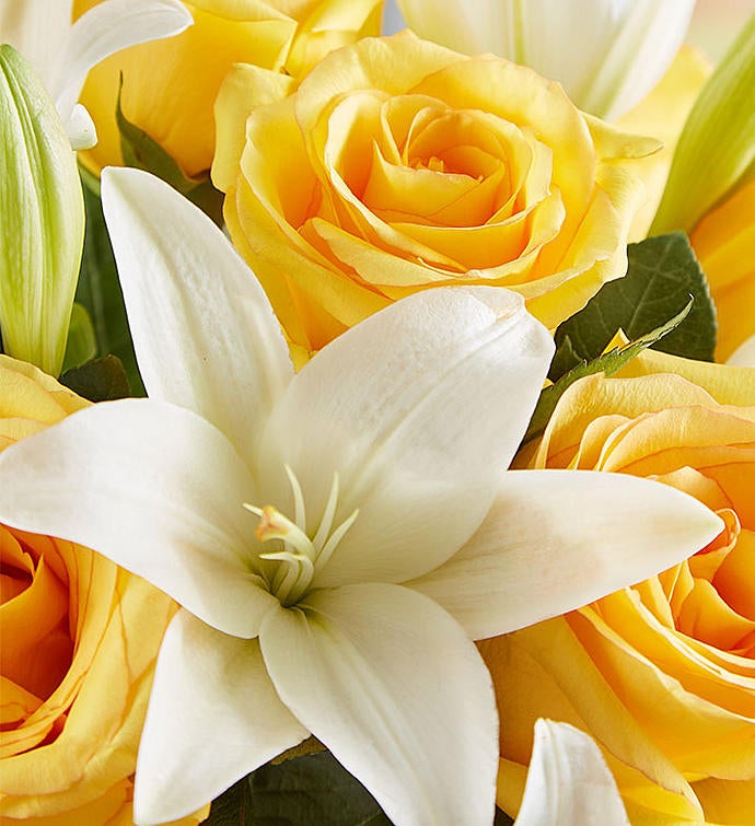 Fair Trade Certified Yellow Rose & White Lily | 1800Flowers - 159655