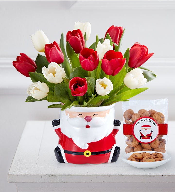 Santa’s Merry Christmas Tulips | 1800Flowers.com