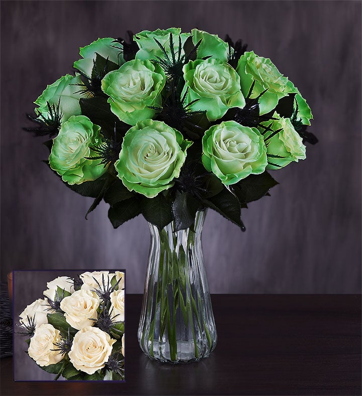 Multi Talented | Instagram, TikTok | Linktree