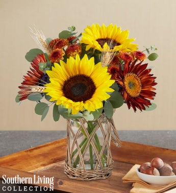 Sunflower Bouquet Delivery | Send Sunflowers | 1800Flowersm