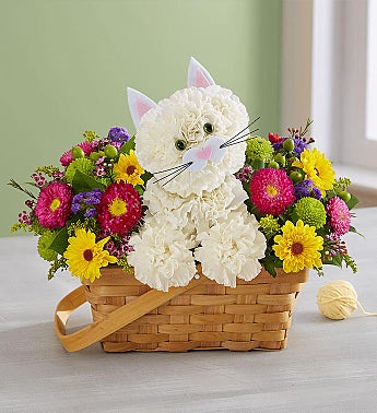 Fabulous Feline | Cat Flowers | 1800Flowers.com