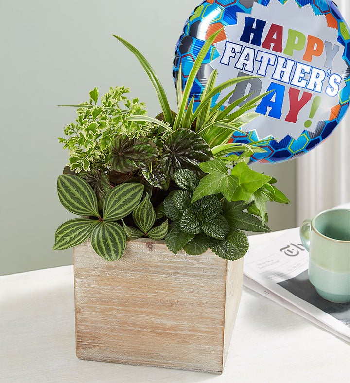 Best Father's Day for Grandpa | Gifts for Grandpa |1800Flowers