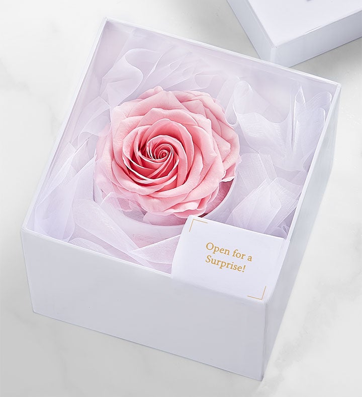 Magnificent Roses® Preserved Pink Rose