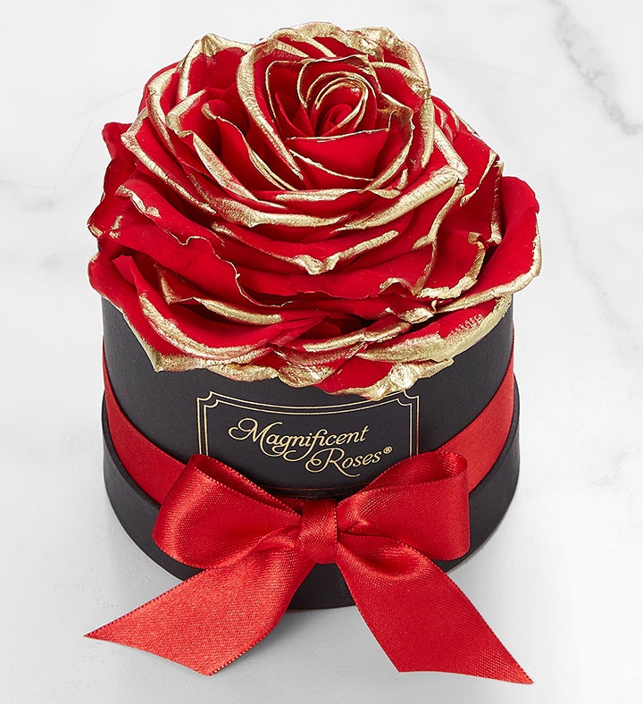 Magnificent Roses® Preserved Gold Kissed Red Rose | 1800Flowers.com
