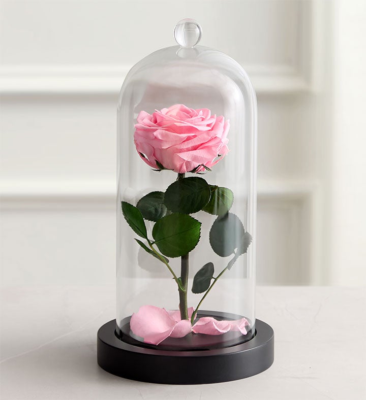 What Are Preserved Roses? | Petal Talk