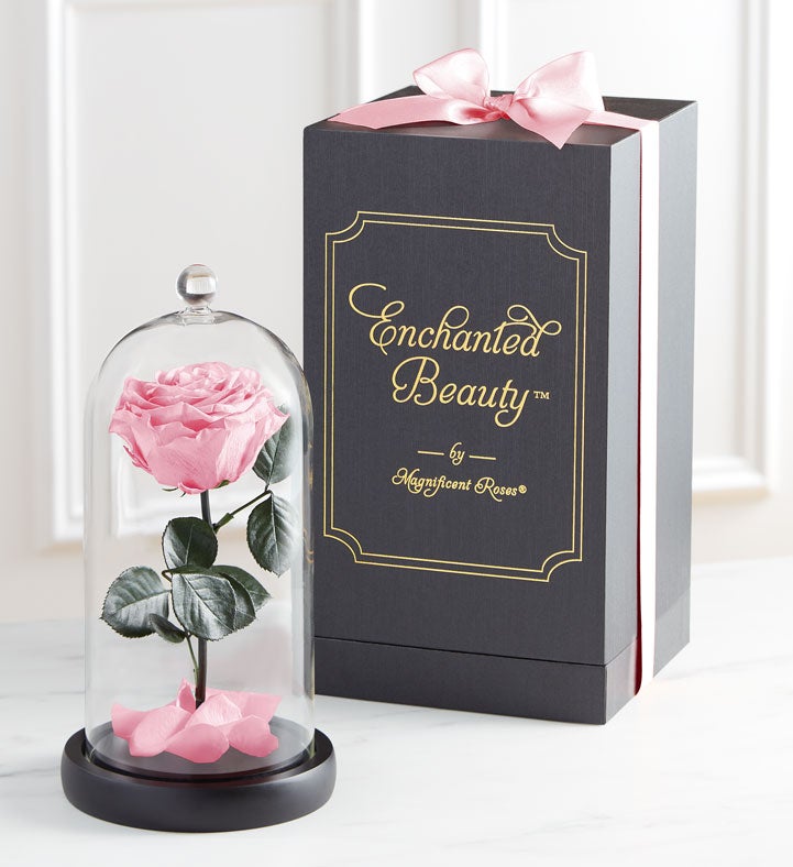 Enchanted Beauty™ by Magnificent Roses® Pink | 1800flowers.com