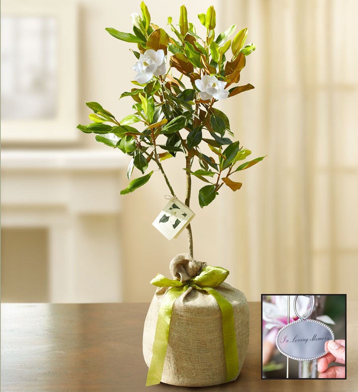 100 Thoughtful Sympathy Card Messages | Petal Talk