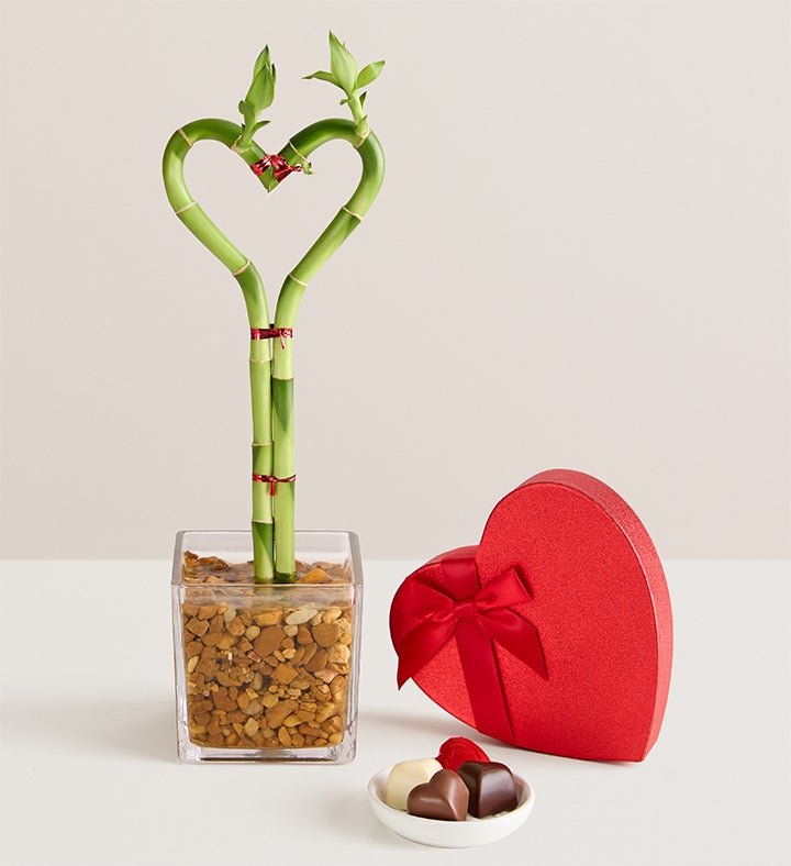 Heart Shaped Bamboo | 1800flowers.com Heart Shaped Bamboo | 1800flowers.com
