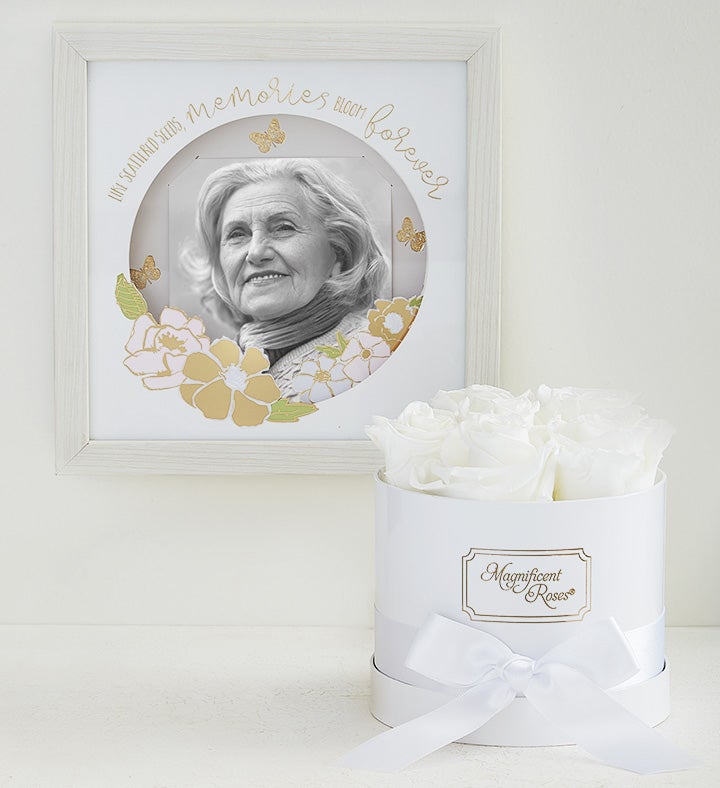 Mag Rose: 6 Count White