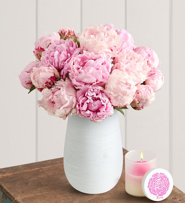 Flowers That Symbolize Strength | Petal Talk