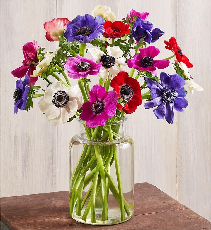 Anemone Flower Delivery | 1800Flowers