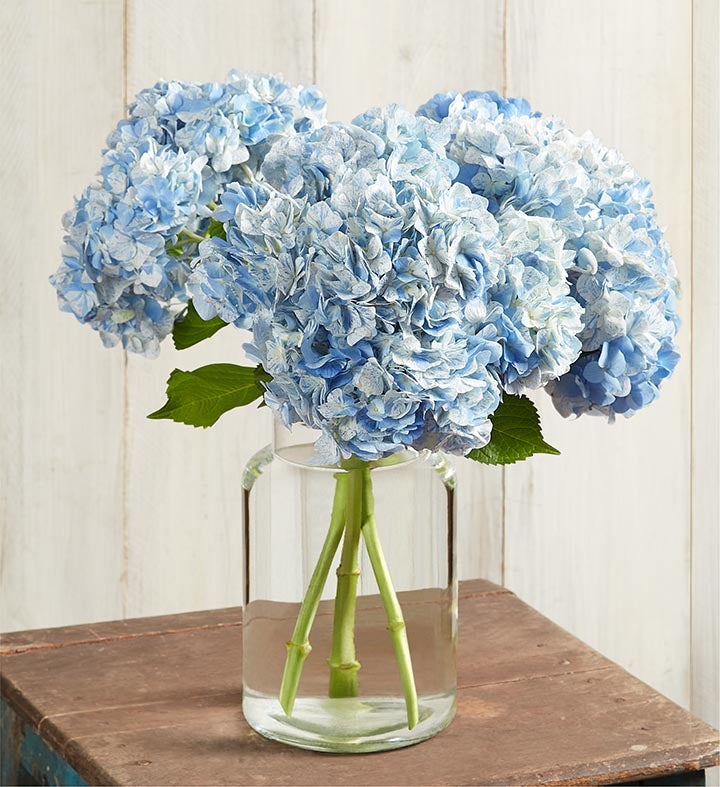 Harmony Hydrangea Bouquet | 1800Flowers.com