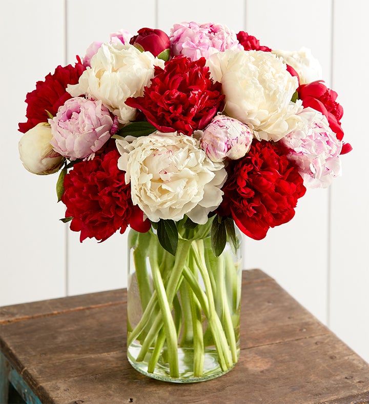 Red, White & Pink Peony Bouquet | 1800Flowers.com
