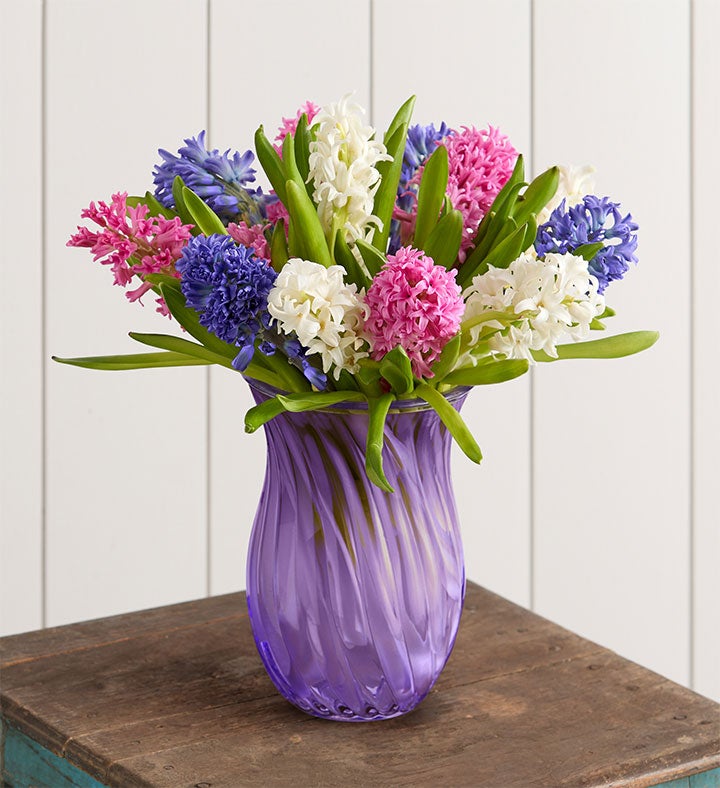 Fragrant Hyacinth Bouquet 12 Stems 1800flowers