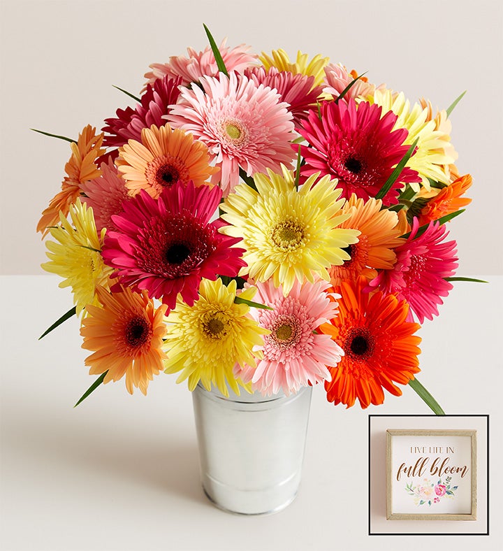 How to Say 'Flower' in Different Languages | Petal Talk