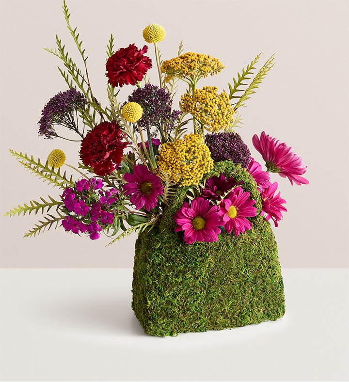 Barcelona Burgundy™