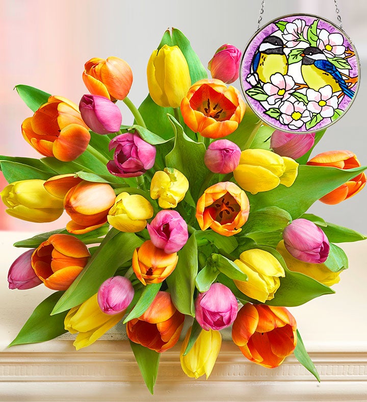 Assorted Tulip Bouquet | 1800flowers.com