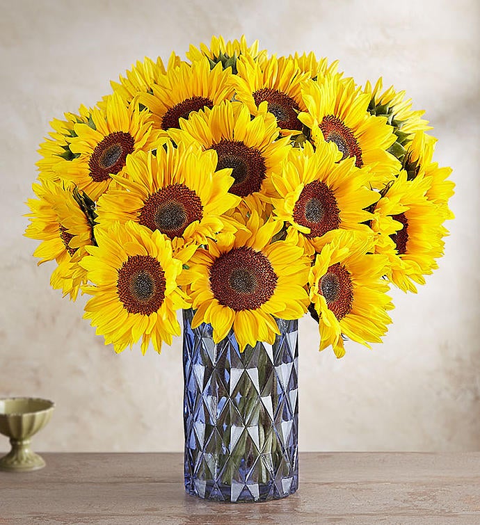 Sunflower Bouquet | 1800Flowers.com - 95044