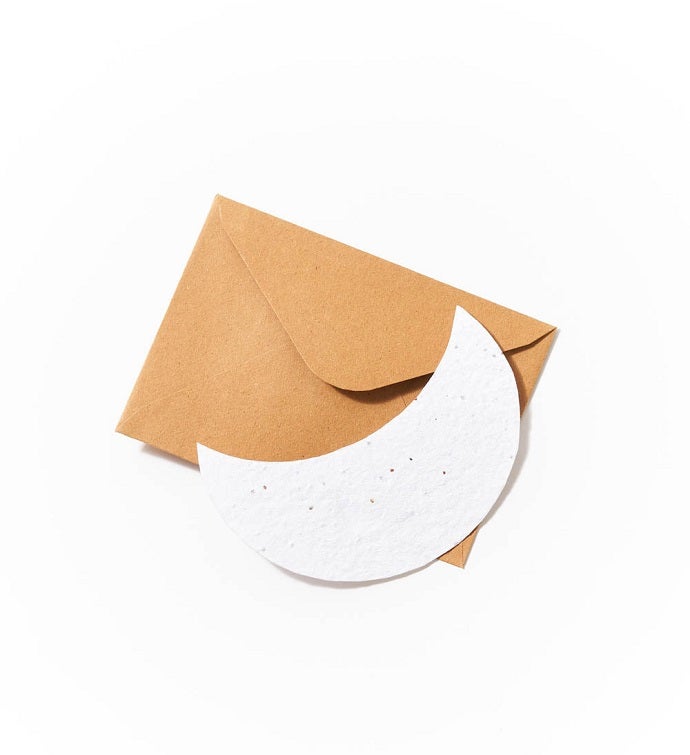 Amala Plantable Note Cards | Marketplace | 1800Flowers