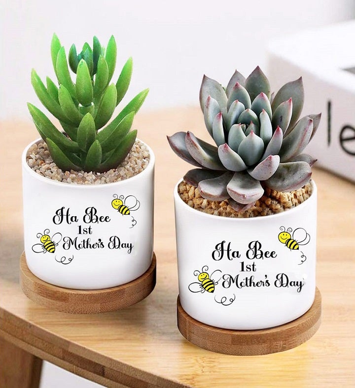 Happy 1st Mothers Day Succulent Gift | Marketplace | 1800Flowers