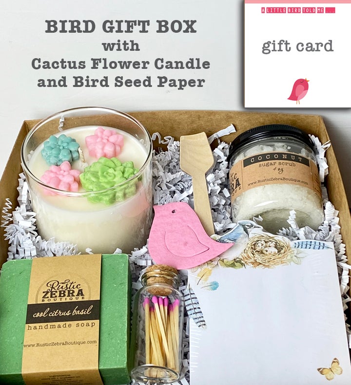 Bird Gift Box With Flower Seeds | Marketplace | 1800Flowers