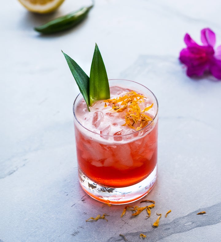 Danger Juice Tropical Negroni Cocktail Kit | Marketplace | 1800Flowers